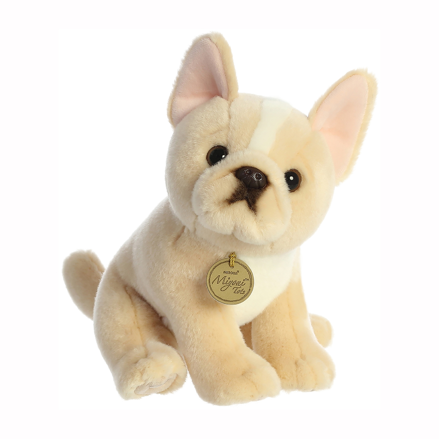 Miyoni by aurora dog store